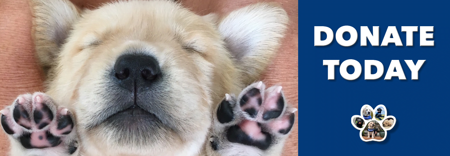 Donate Today - BC & Alberta Guide Dogs