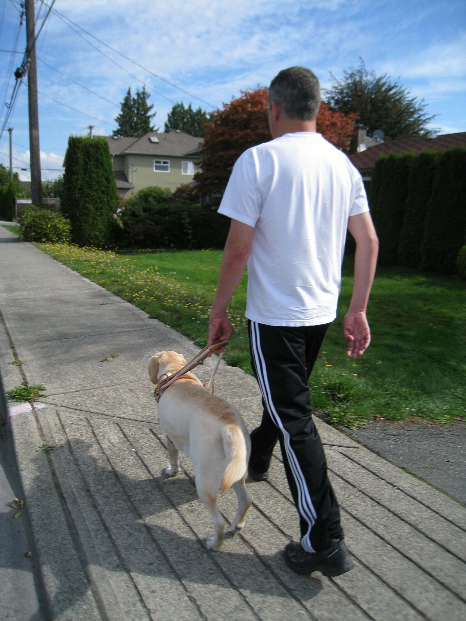 Fundraising - BC & Alberta Guide Dogs