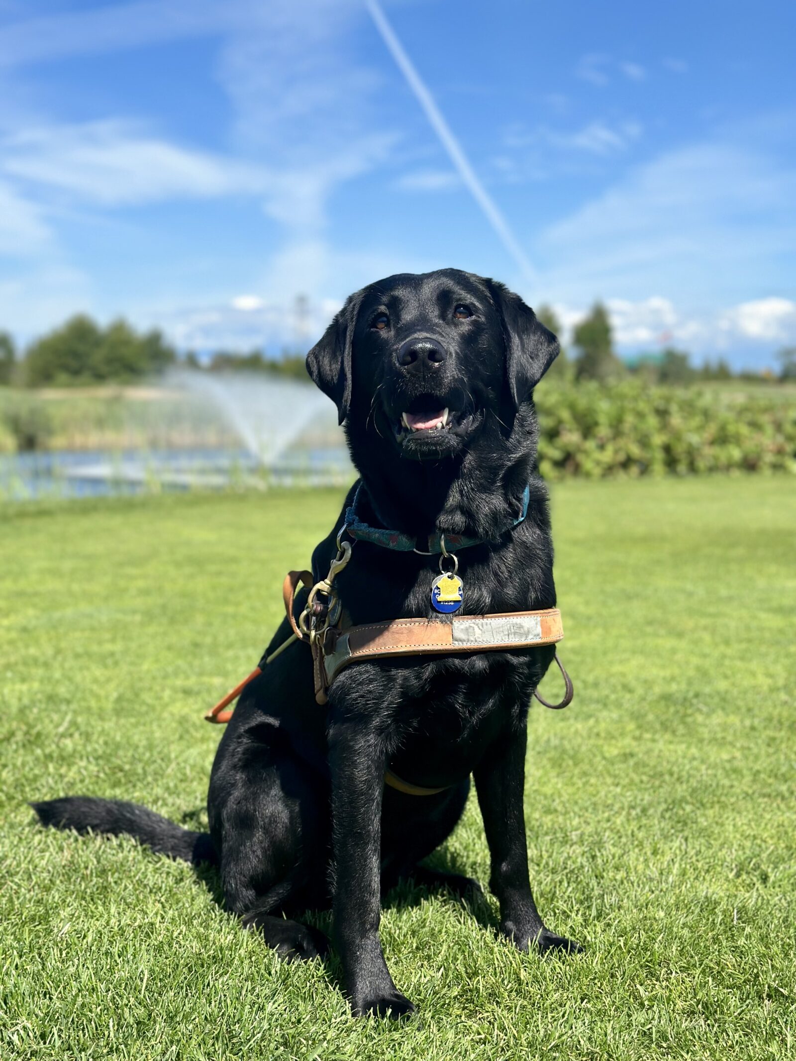 Events - BC & Alberta Guide Dogs