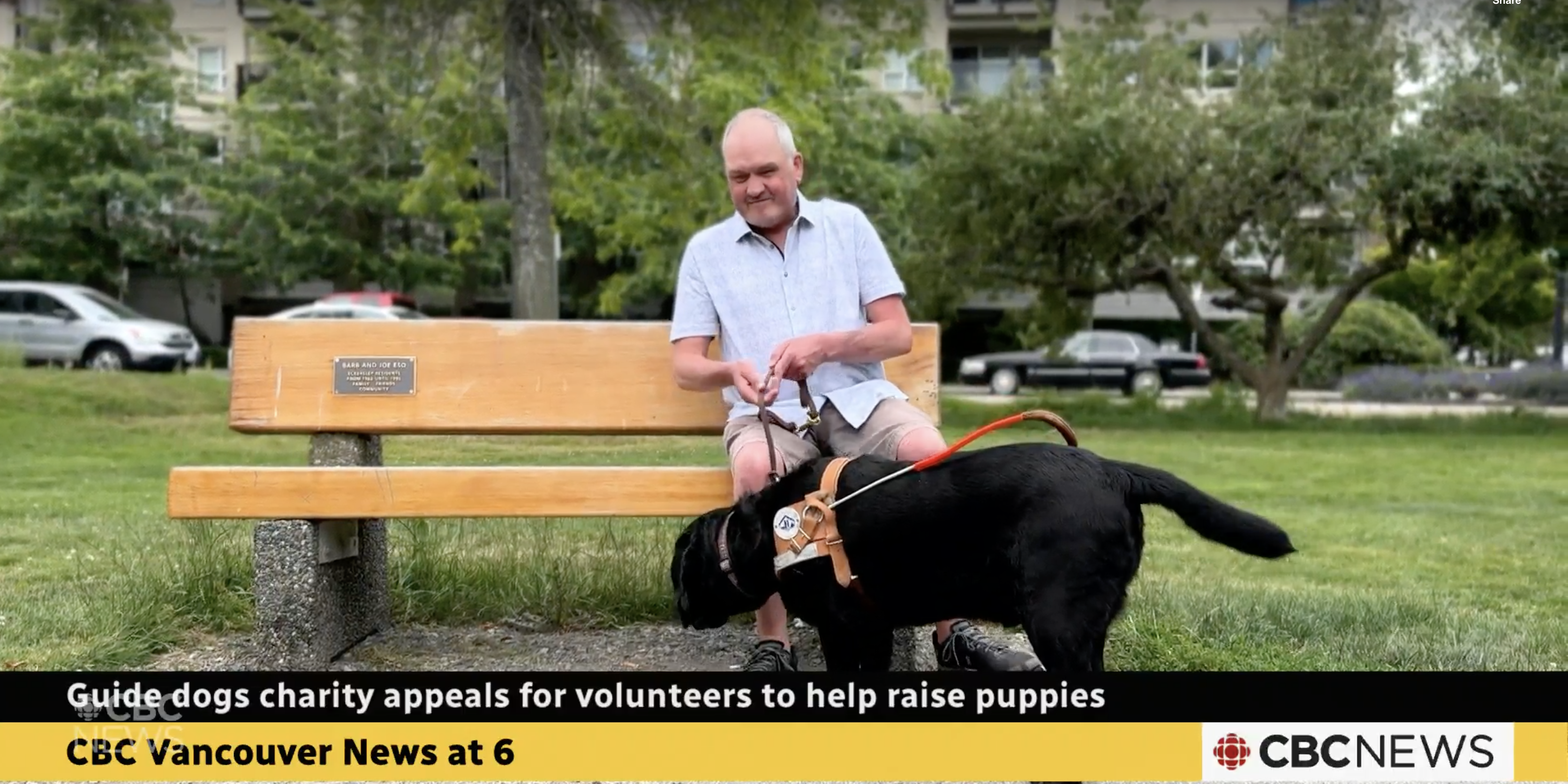 Guide Dogs Change Lives: A Heartfelt Interview with CBC Vancouver - BC ...