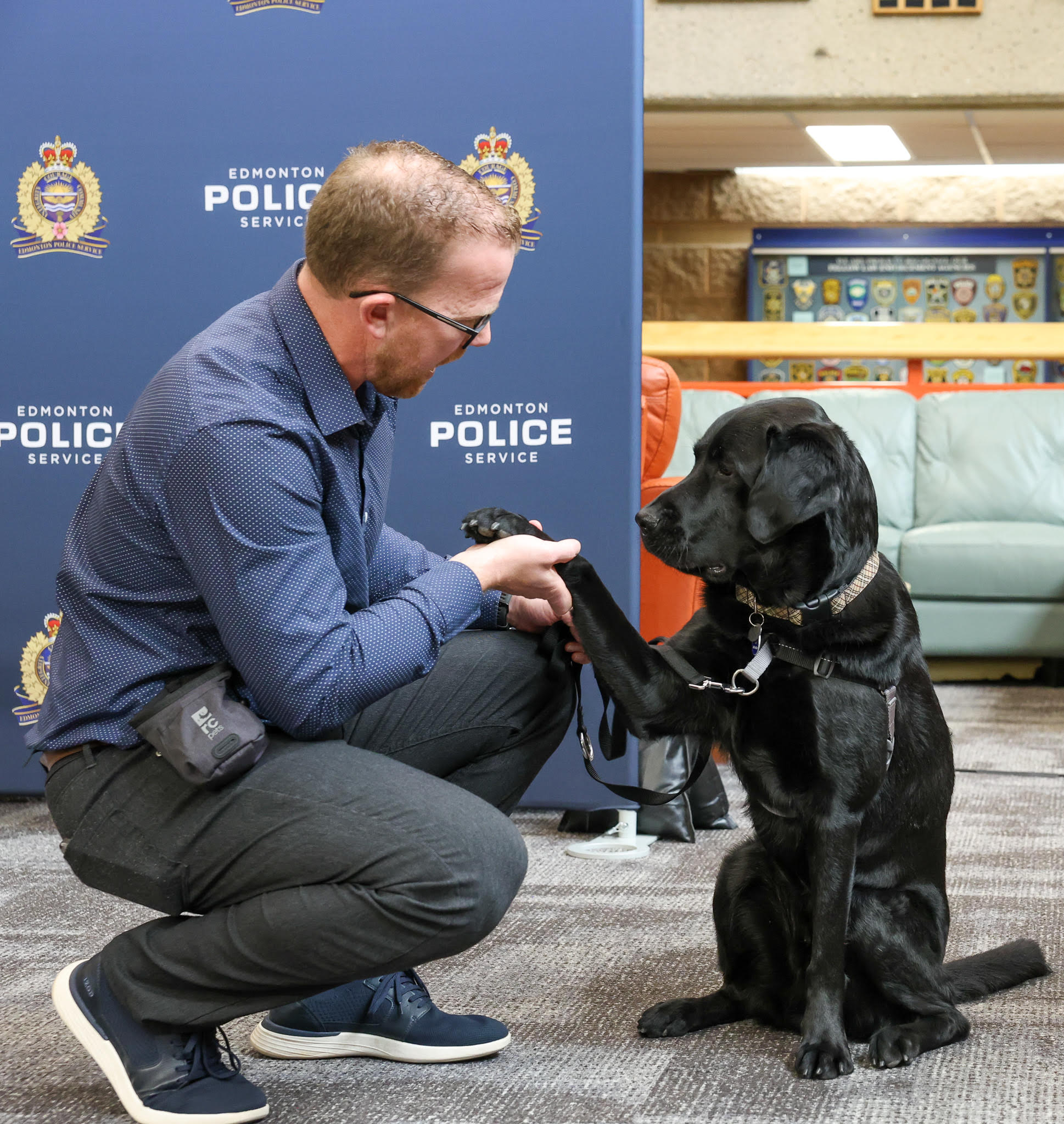 Our Stories - BC & Alberta Guide Dogs